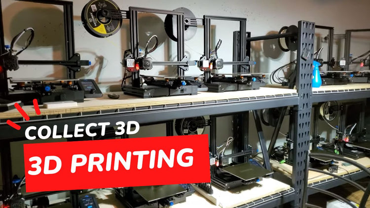 Protect and Showcase Your Trading Cards with 3D Collect Graded Trading ...