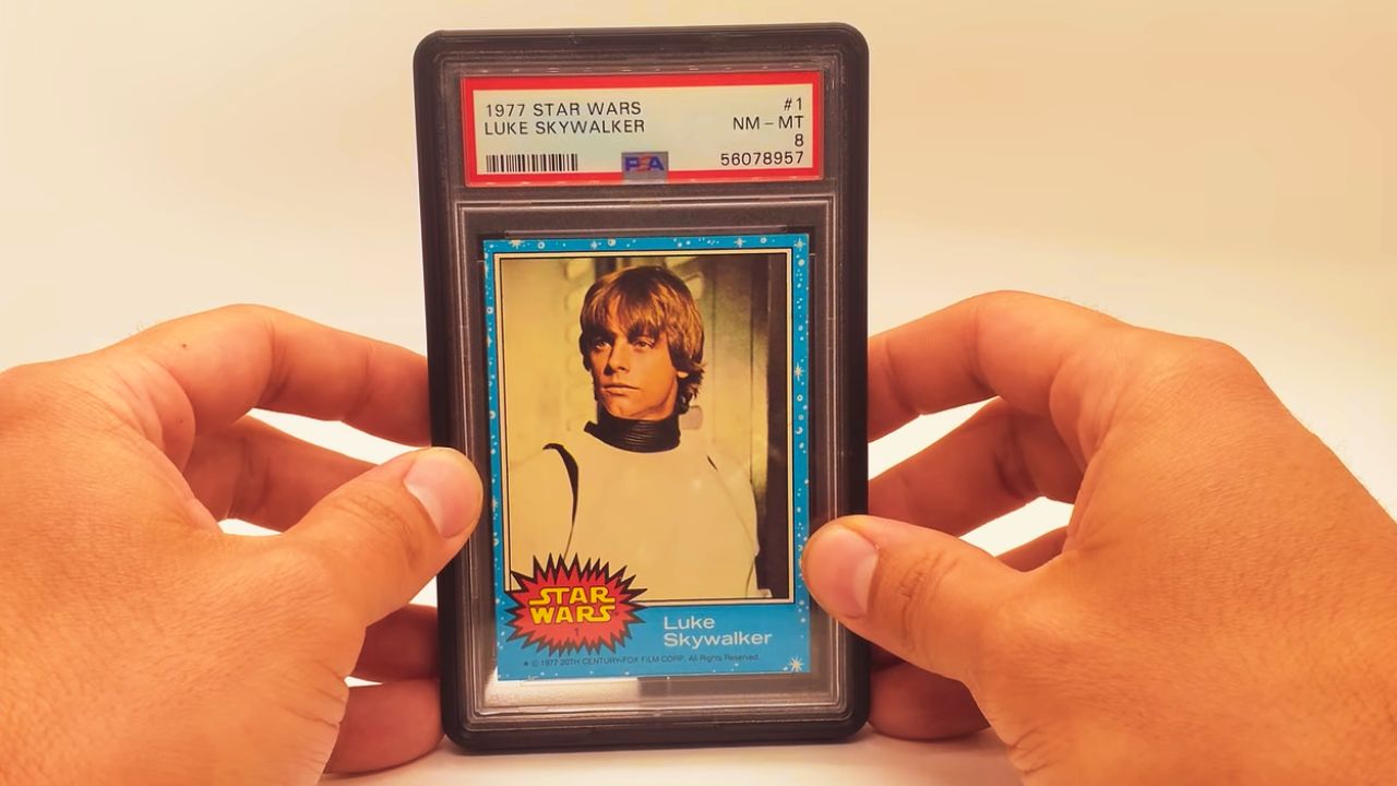 Protect and Showcase Your Trading Cards with 3D Collect Graded Trading ...